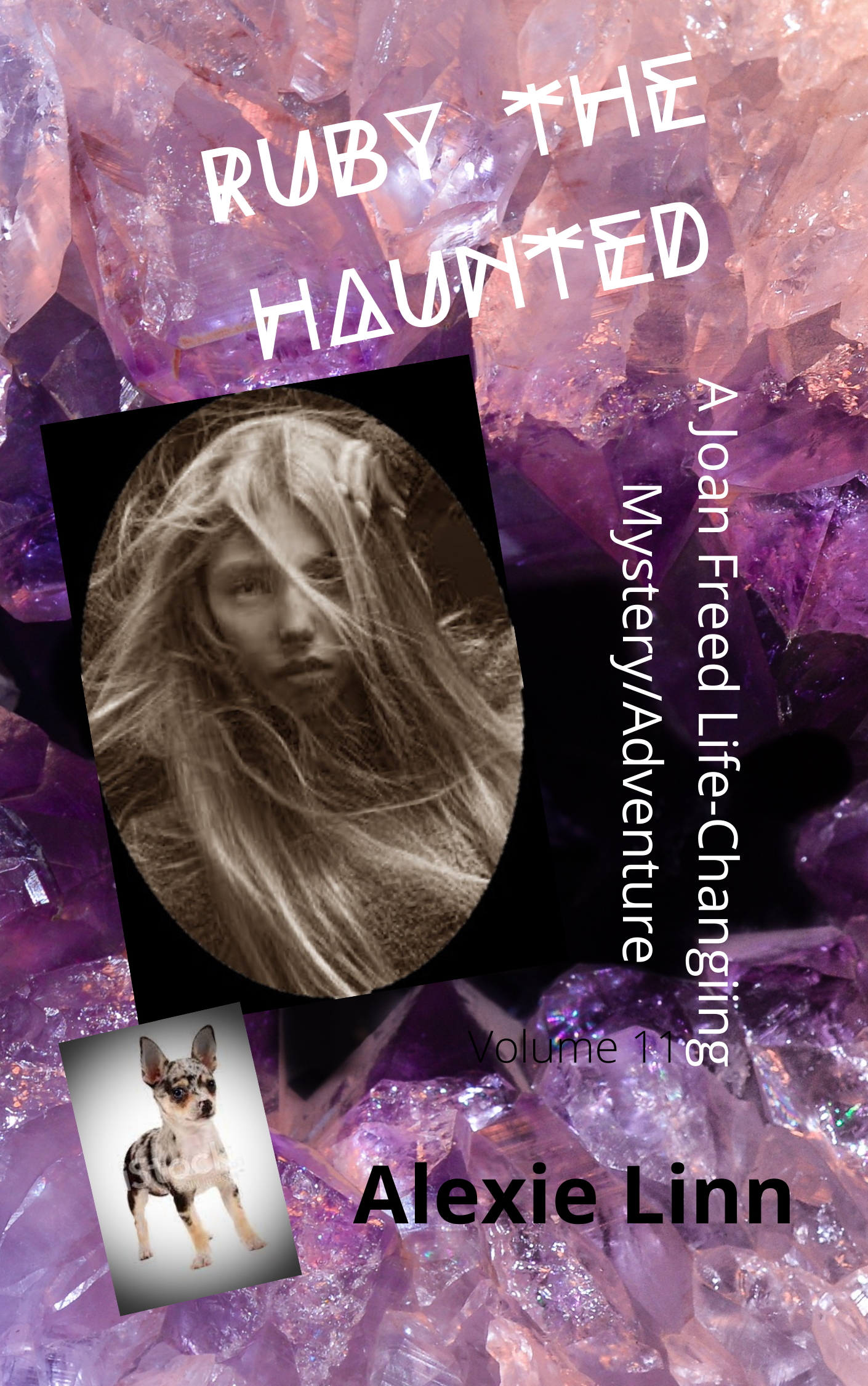 A Joan Freed Life-Changing Mystery/Adventure — Volume 10 – Alexie Linn ...